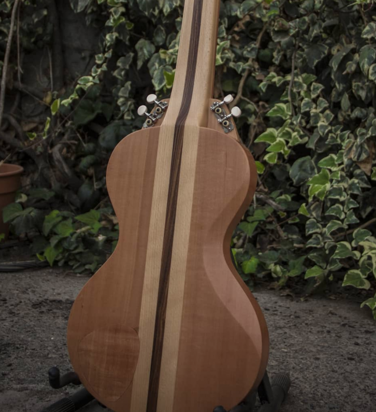 Electric Chilean Guitarron - Beautifulinstrument.com