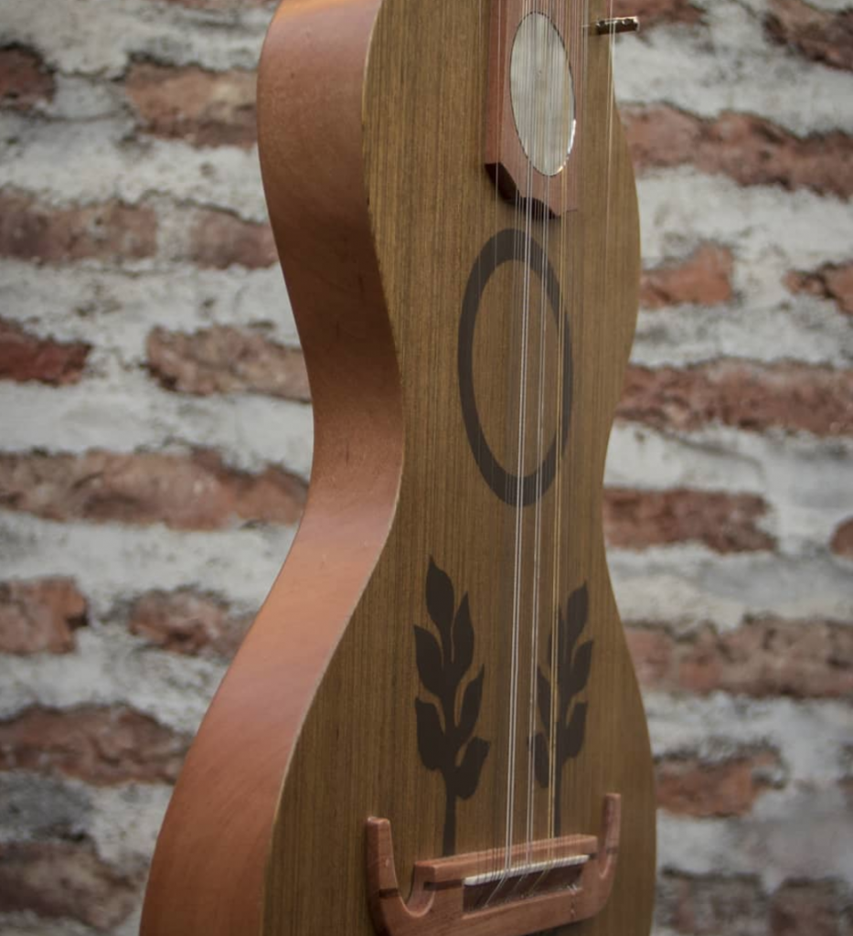 Electric Chilean Guitarron - Beautifulinstrument.com
