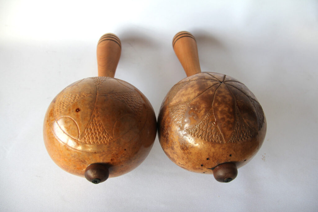 Maracas tradicionales de totumo calabazo, maracón especial para Cumbia ...